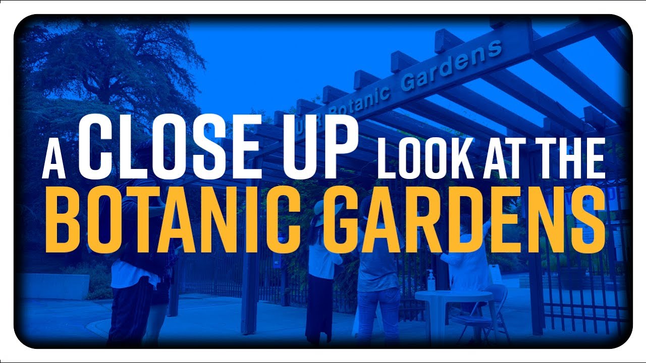 UC Riverside / University of California, Riverside